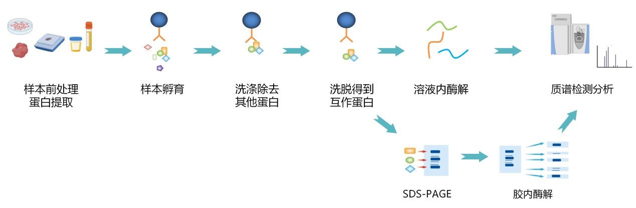 Co-IP质谱检测服务